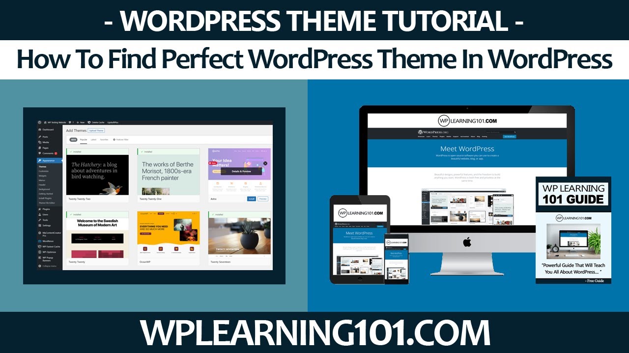 How To Find Perfect WordPress Theme In WordPress (Step By Step Tutorial)