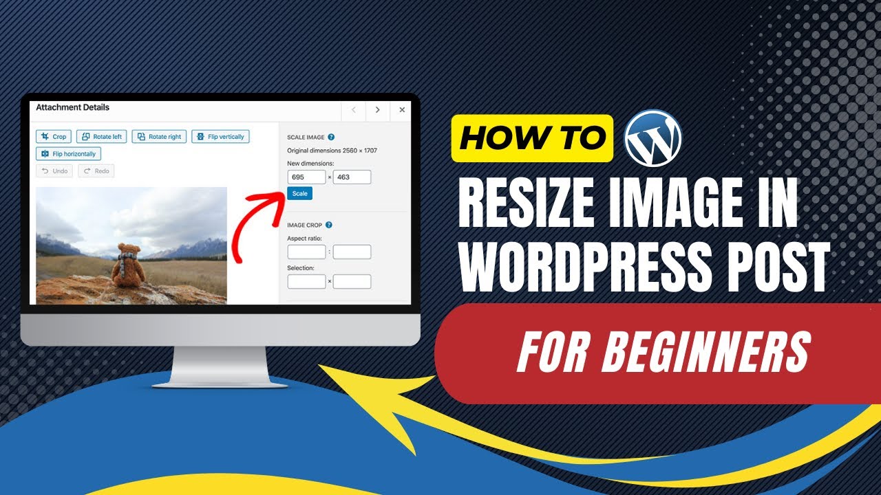How To Resize Image In WordPress Post For Beginners