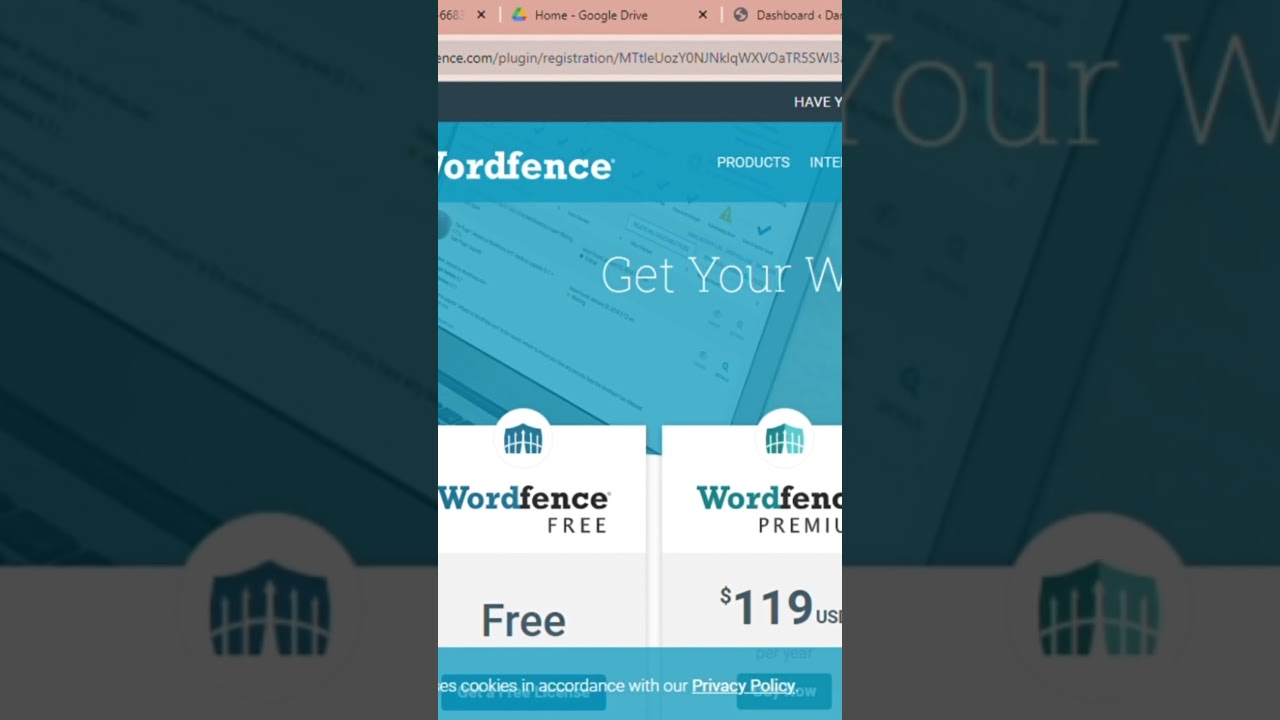 How To Use A Performance Plugin Optimization In Wordpress Shorts Wordpress